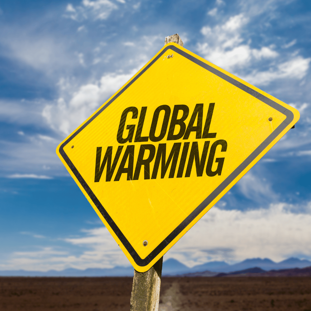 Глобално затопляне: кои са основните причини за него? | Opasnite.bg